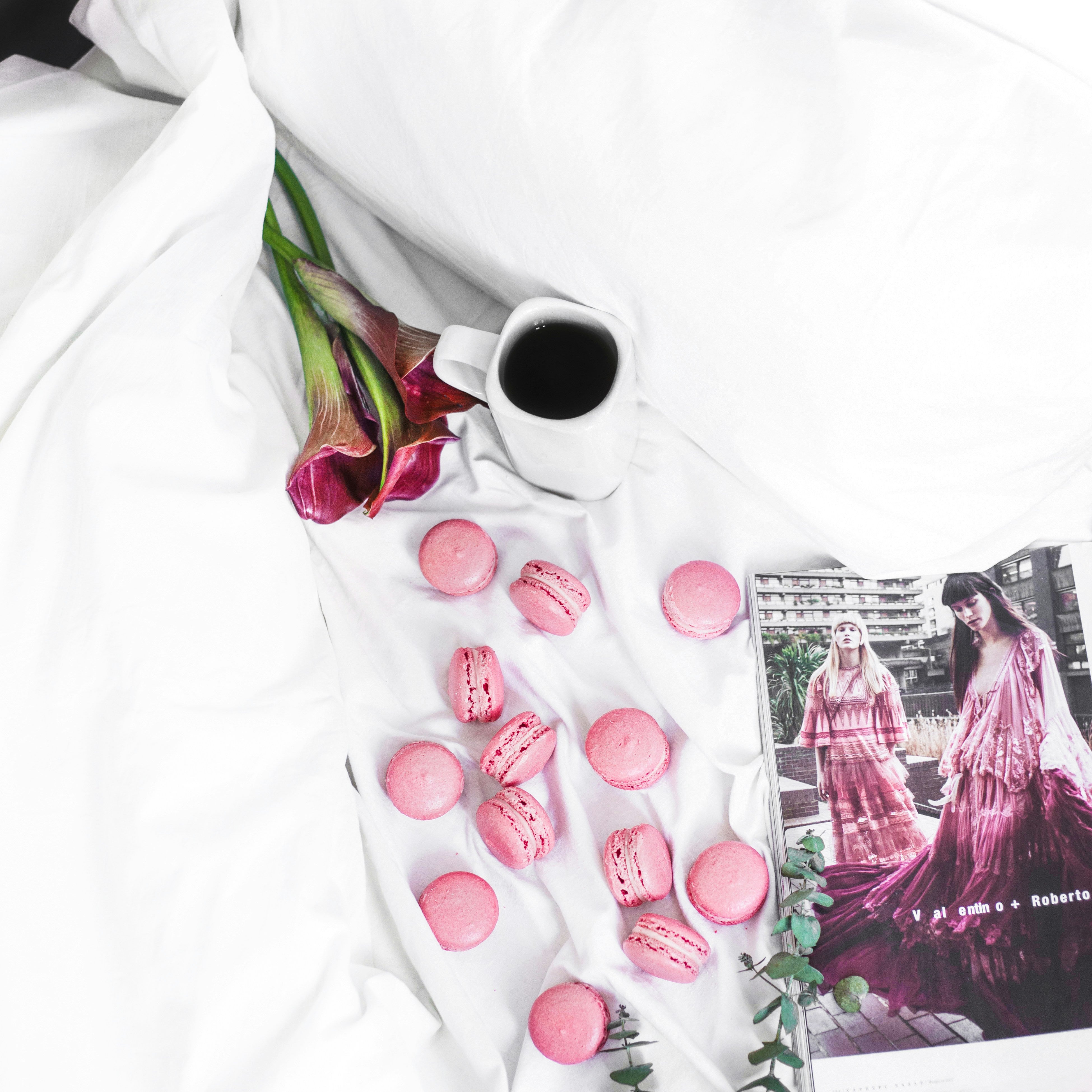 Our Brands – Kate Ruby & Rose